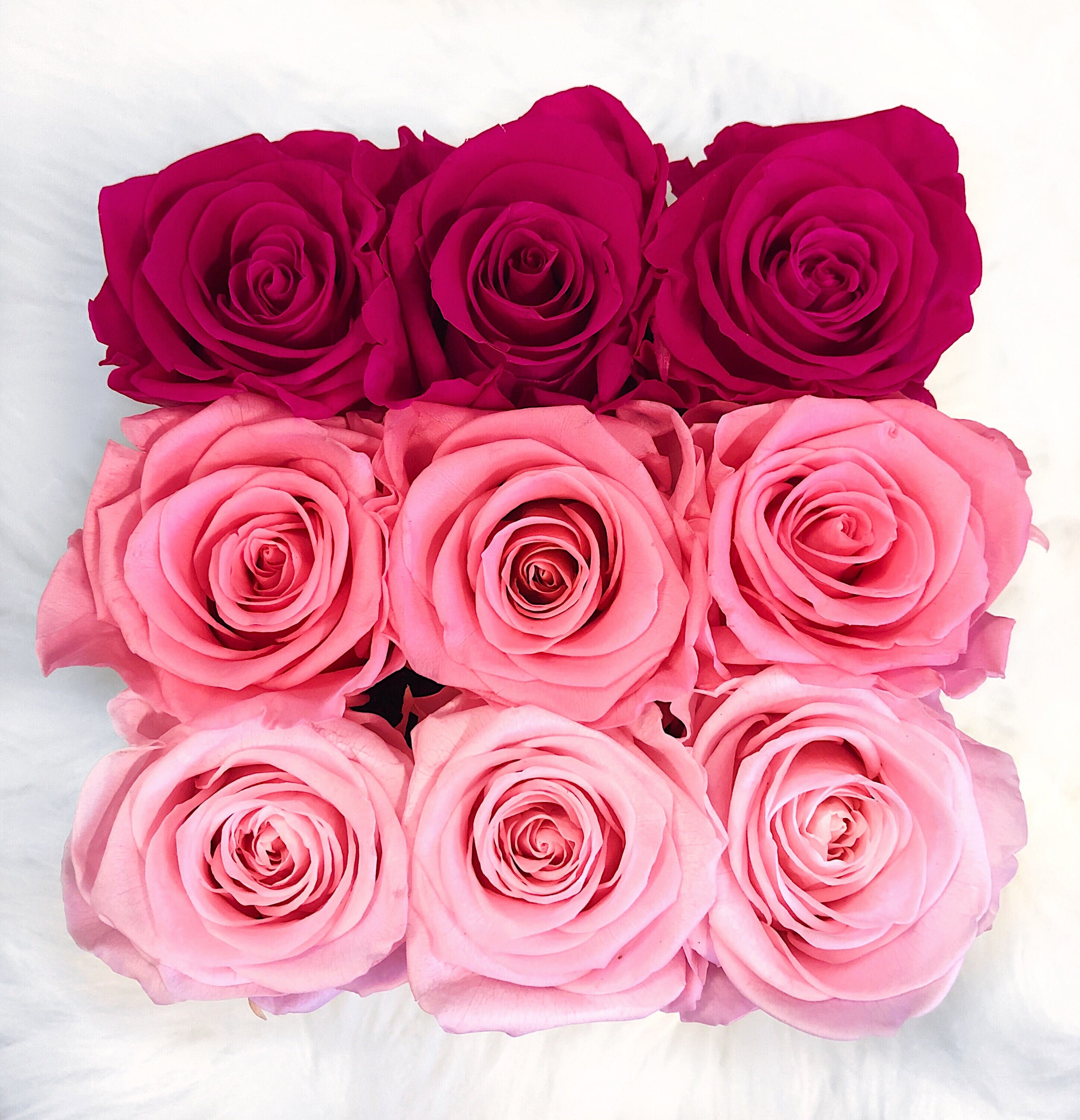 Infinity Cloud 9 – Grand Fleurs